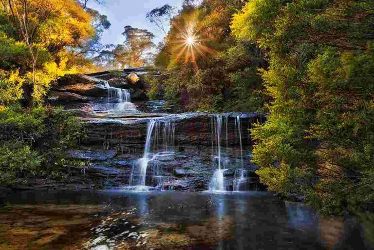 Những trải nghiệm tuyệt vời tại Blue Mountains - Saco Travel